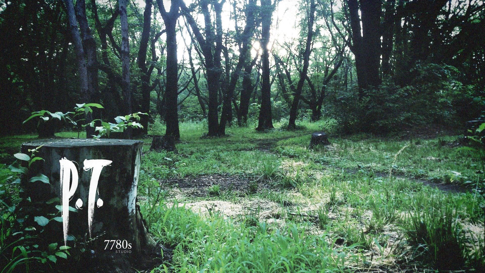 Why P.T Could Be The Best Horror Game of 2014 - VGU