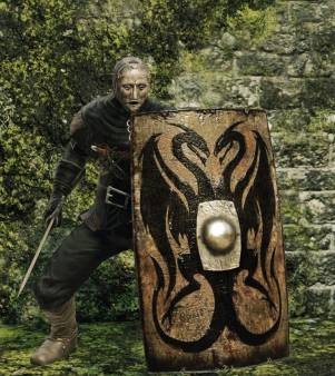 Dark Souls Shield - VGU